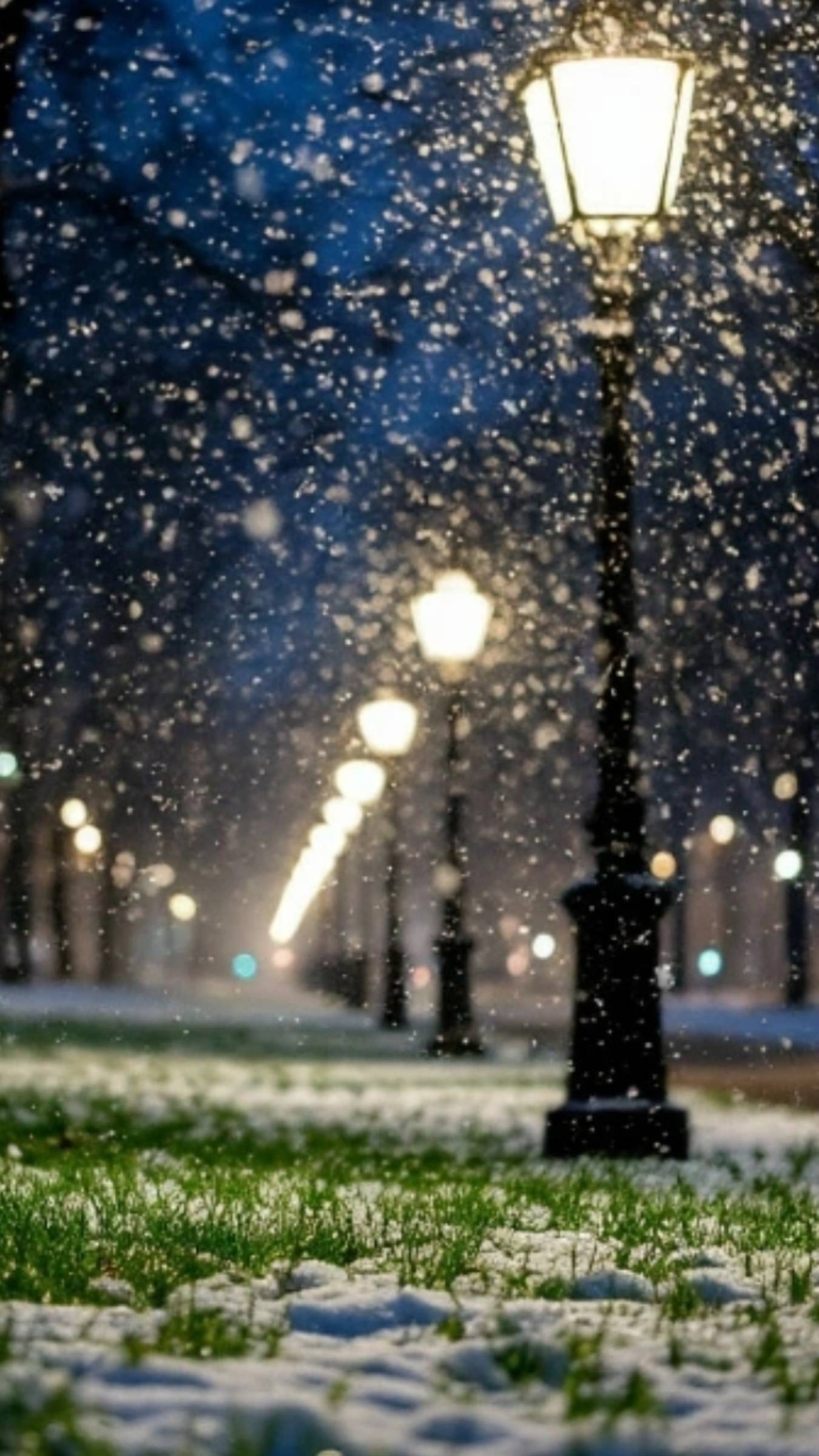 20250625_101305_001 Пою в пути. Огней так много золотых