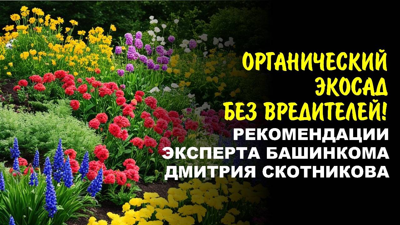 Как защитить сад от вредителей без химии? Эксперт БашИнкома Дмитрий Скотников