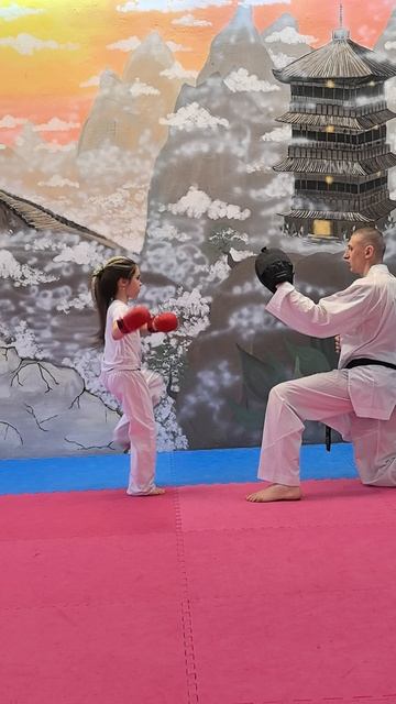 Удар Mawashi Geri Каратэ Спорт