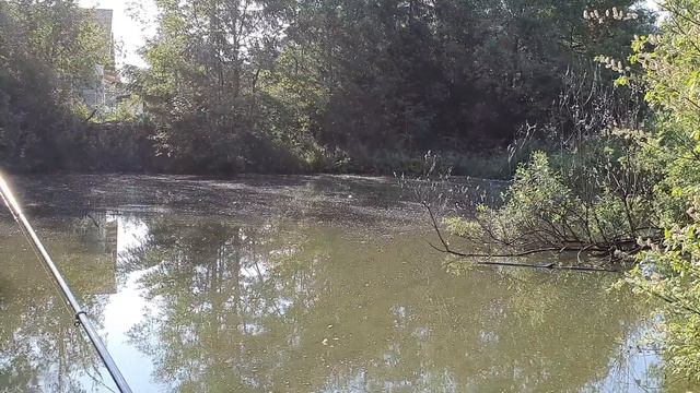 Размочился по рыбе. Открыл сезон