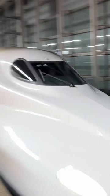 Путешествие по Японии: советы и лайфхаки для туристов