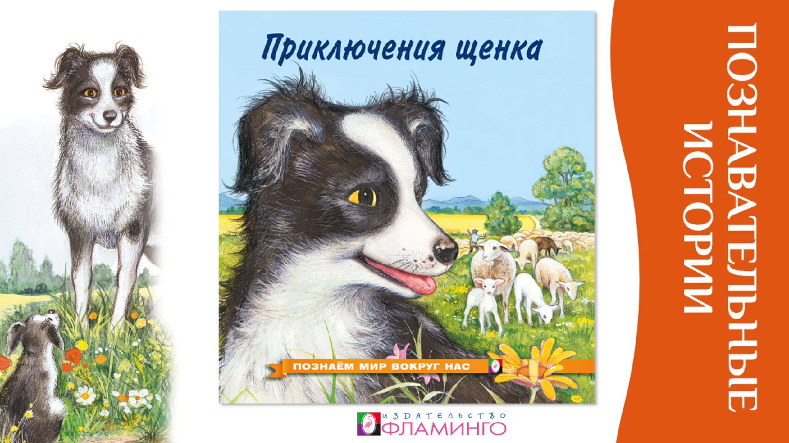 Познаем мир вокруг нас / Приключения Щенка