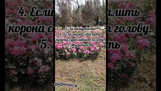 Будь аккуратен с флегматиками! Никогда точно не знаешь, что от них ждать!