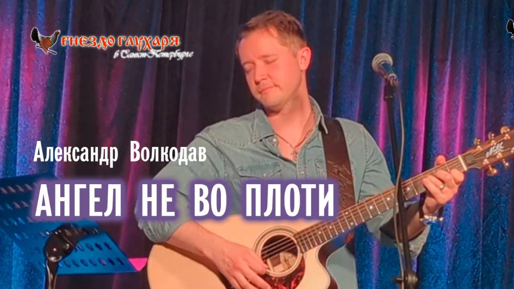"АНГЕЛ НЕ ВО ПЛОТИ" Александр Волкодав - "Гнездо глухаря" Питер 28.06.2025