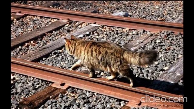 Иванушки  international_Последняя электричка(кавер).