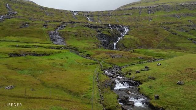 КРАСИВЫЕ ДЕРЕВНИ часть 3