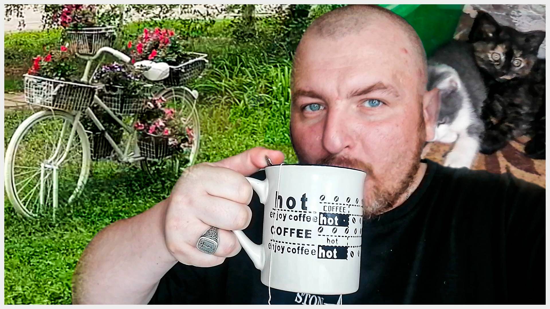 ЖИЗНЬ В ДЕРЕВНЕ/ПОХОД ЗА ШАУРМОЙ/ЧЕТЫРЕ КОТЕНКА/МУЛЬТИВАРКА ОТ ПОДПИСЧИКОВ