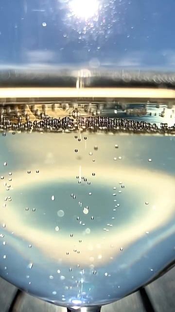 Просекко в Севкабель Порт #просекко #игристое #бокалигристого