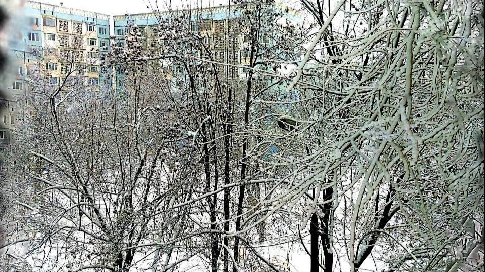 Первый снег за зиму ❄ Решила записать видосик 🌨