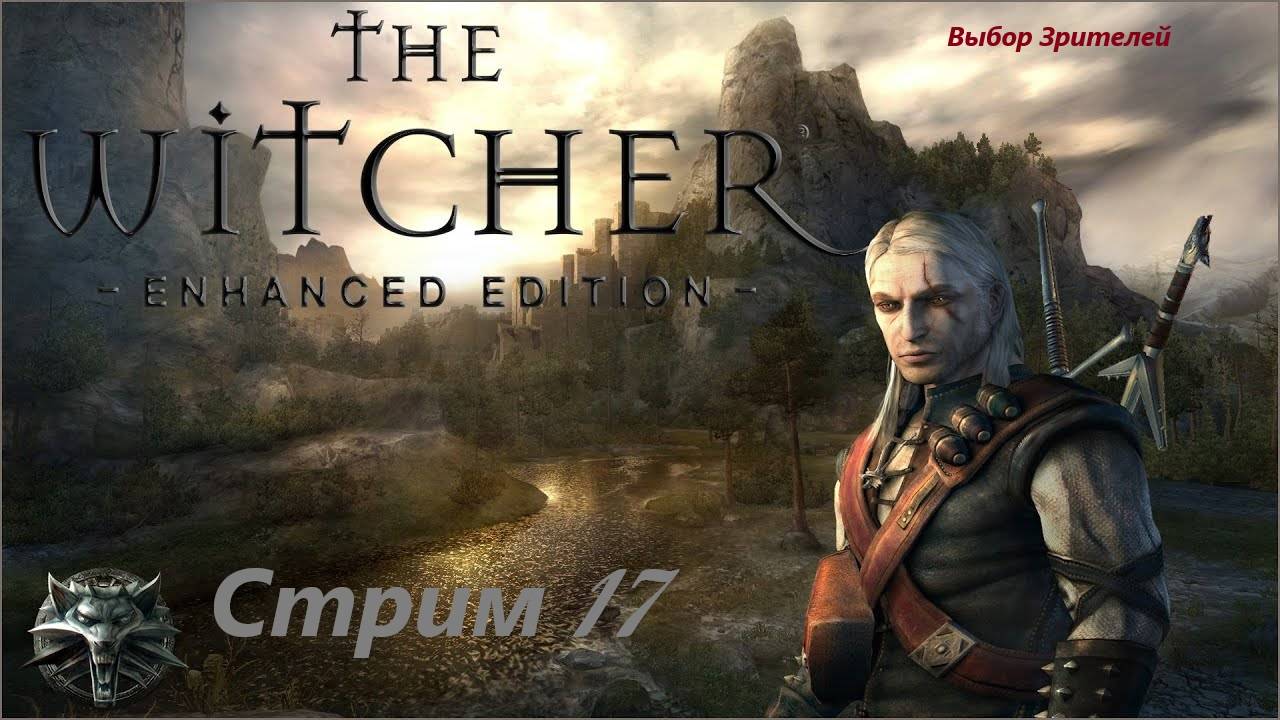 Выбор Зрителей - The Witcher Enhanced Edition - Стрим 17