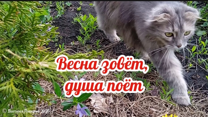 Весна зовёт, душа поёт