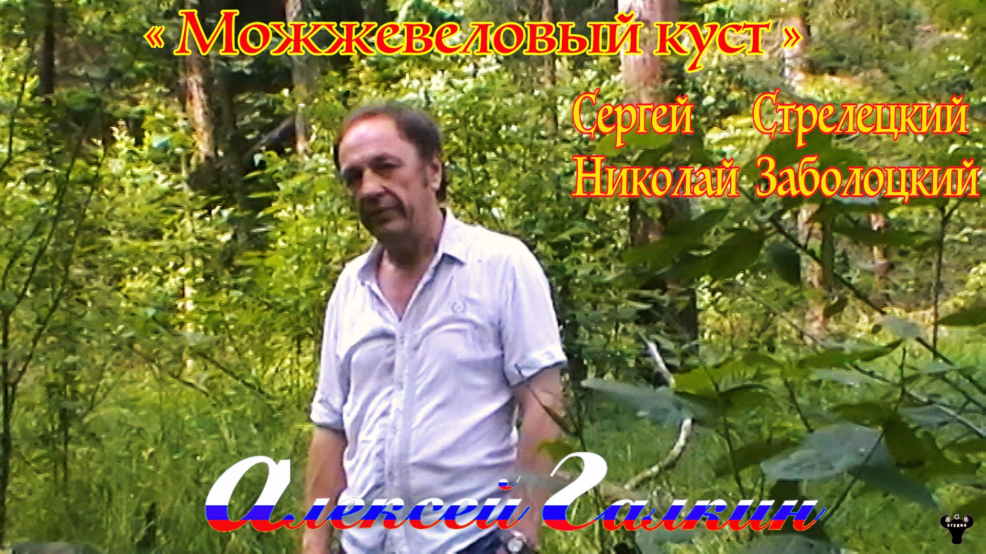 Алексей Галкин. «Можжевеловый куст» С.Стрелецкий - Н.Заболоцкий.