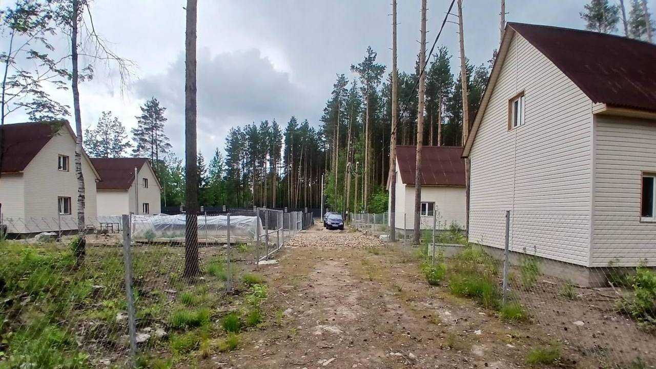 Дачное. 06-2025