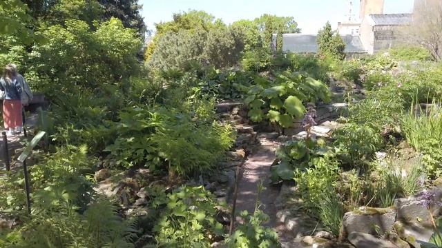 Ботанический сад. Санкт- Петербург.