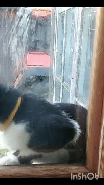 Пустите домой, пожалуйста!