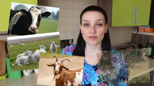 Омлет с сыром сулугуни | завтрак | рецепт вкусного омлета