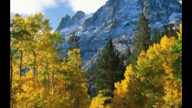 Привязанность