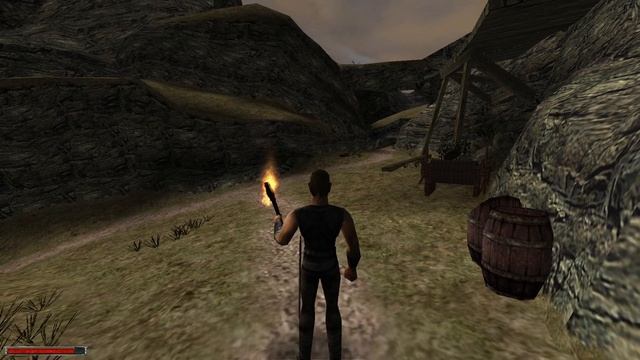 Видео №1 Готика(Gothic)