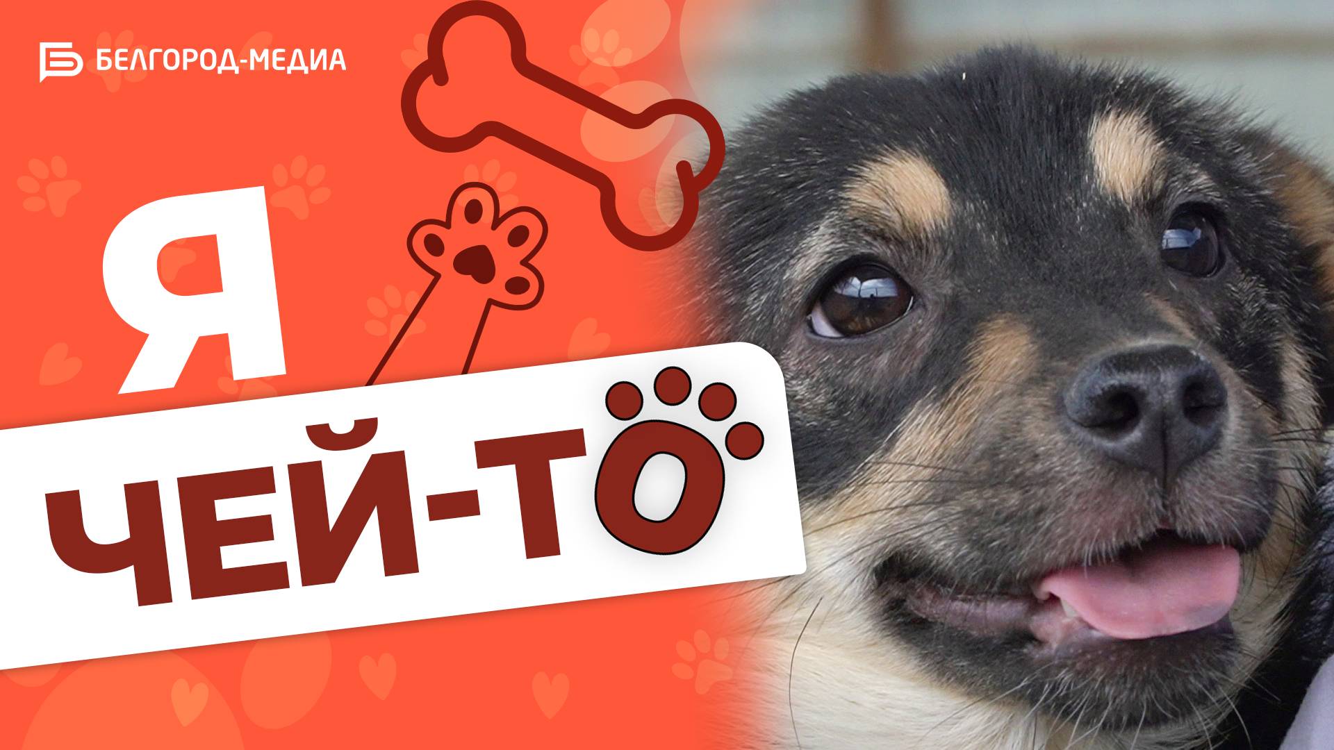 Кнопка | Я чей-то