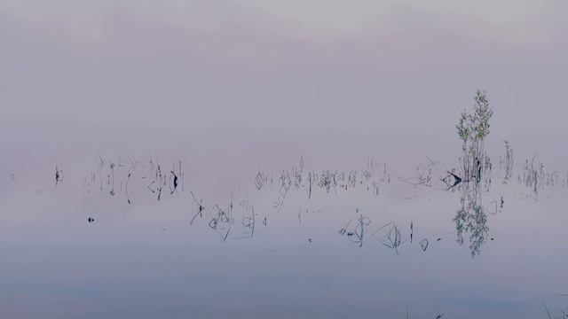 неоднозначность какой-либо реальности