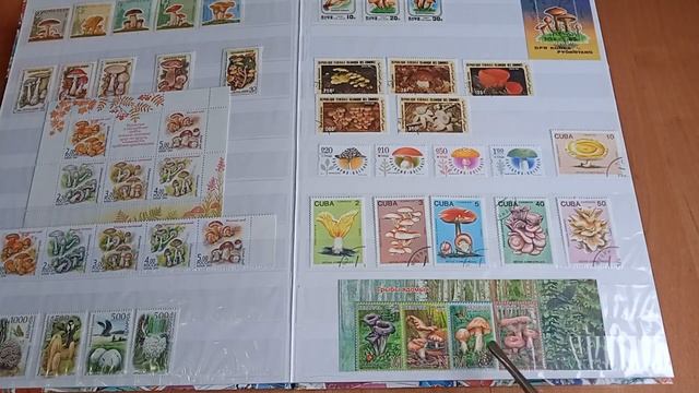 Грибы на почтовых марках Обзор коллекции #грибы #марки #обзор #филателия