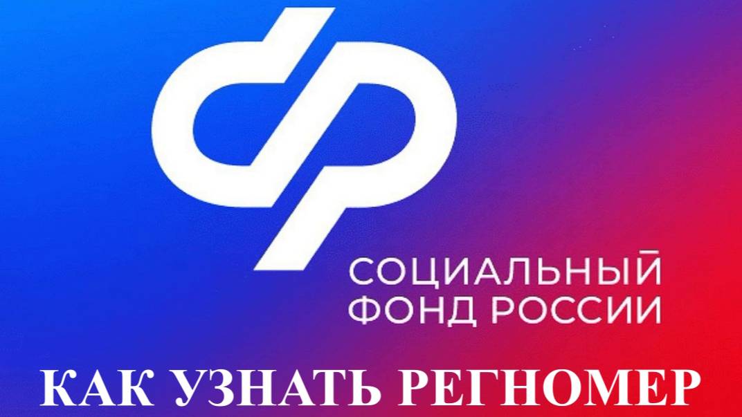 КАК УЗНАТЬ РЕГИСТРАЦИОННЫЙ НОМЕР В СФР В 2025 ГОДУ