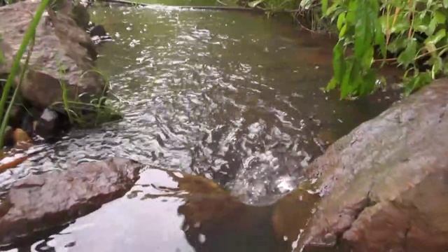 Скучная жизнь