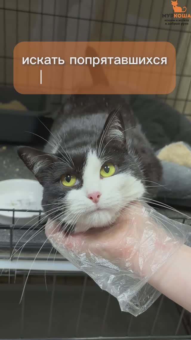 Тулуза (уже дома)