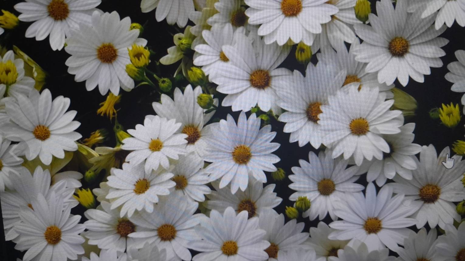 Новый фортепианный концерт - №85| Авторская музыка Ирины Одарчук Паули ( 2025)