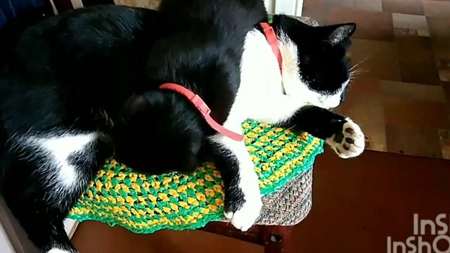 В тесноте, но не в обиде.