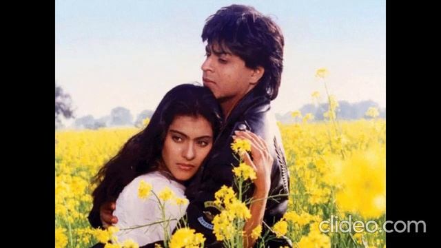 Жасмин-Индийское диско.