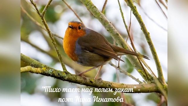 "Тихо тает над полем закат"- поэт Нина Игнатова