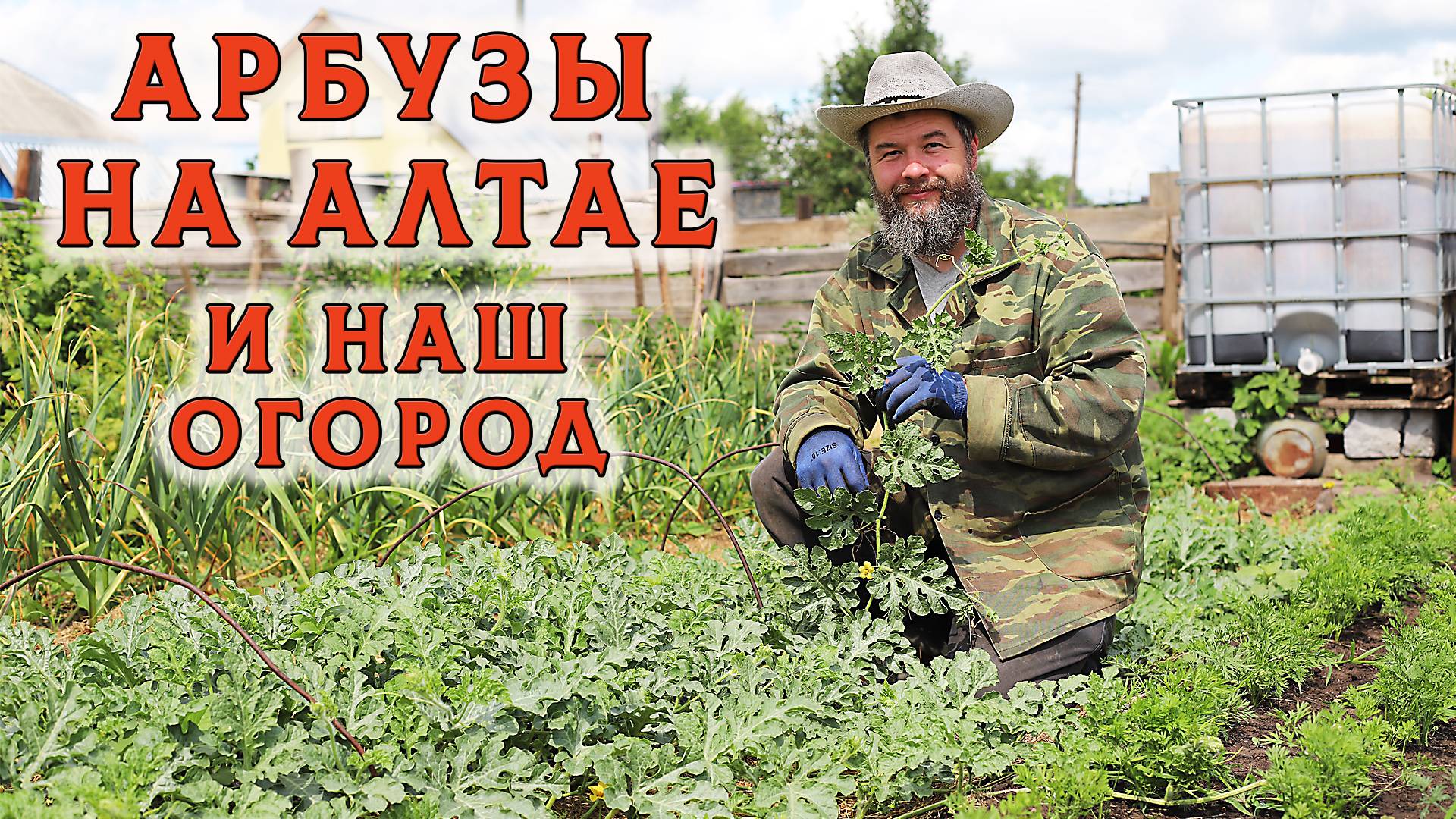 Первый арбуз уже на подходе! Обзор огорода после июньских заморозков 🌞🍉