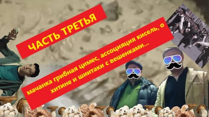 МАЧАНКА (грибная) Готовим грибную мачанку. Часть 3.