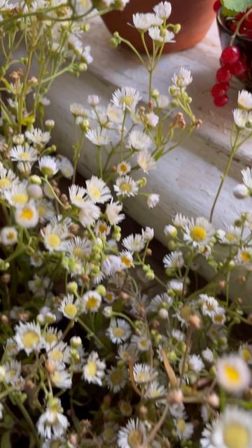 Съемка в деревне