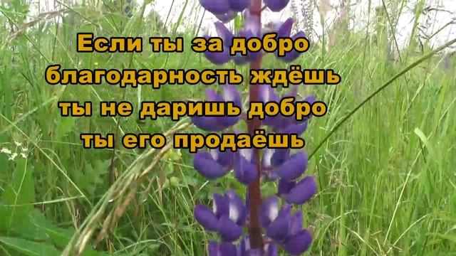 благодарность