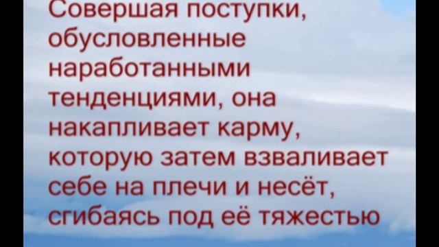 Феномен жизни и смерти