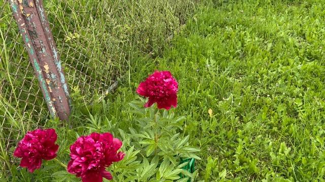 Мы дома ❤️