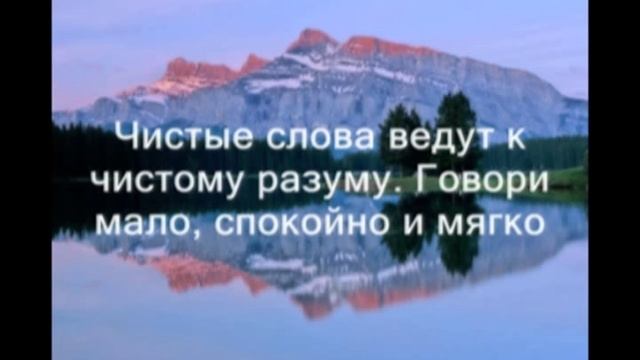 Исскуство жизни