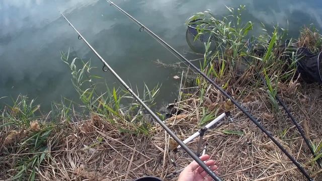 КАРПОВЫЙ ФЛЭТ МЕТОД на платнике !!! Ловля на ПОП-АП (POP-UP)!!!