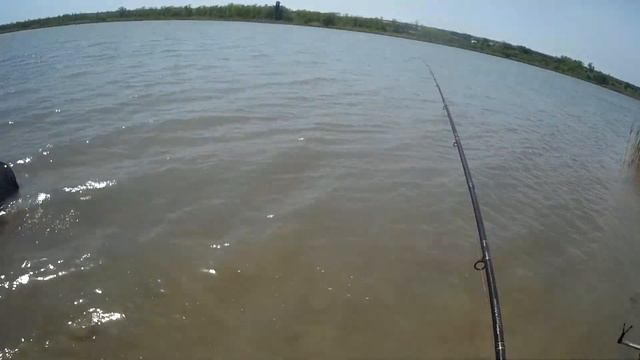 ЛЕЩ на ФЛЭТ ФИДЕР!!! Поклевки ПОДЛЕЩИКА крупным планом на водохранилище Сухая Падина.