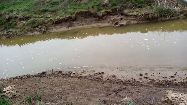 ГОЛАВЛЬ на МАЙСКОГО ЖУКА на ПОПЛАВОК в проводку!!! Весна 2021