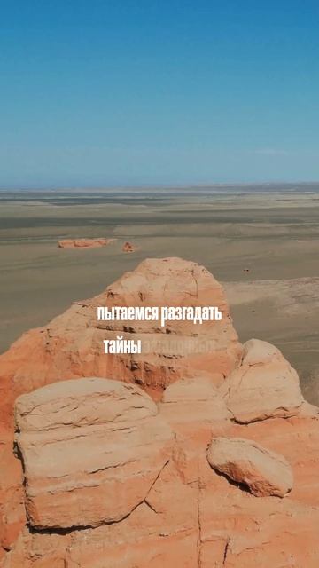 Ищем яйца динозавров