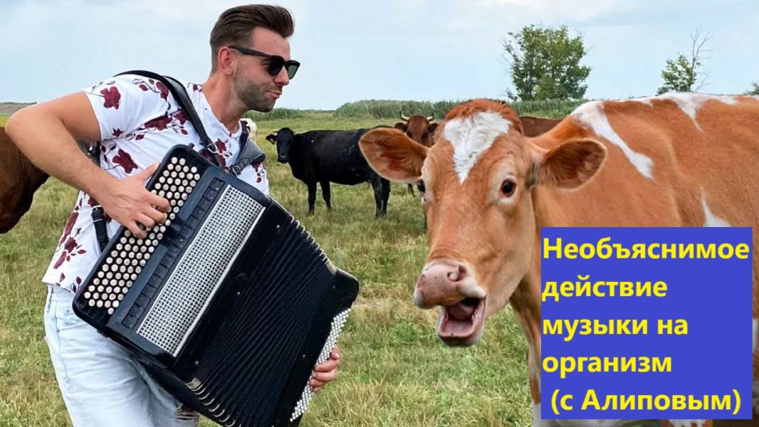 Необъяснимое действие музыки на организм (с Алиповым)