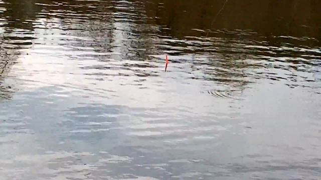 Ловля КАРАСЯ весной с лодки НА ПОПЛАВОК! ПОКЛЕВКИ КРУПНЫМ ПЛАНОМ!!!