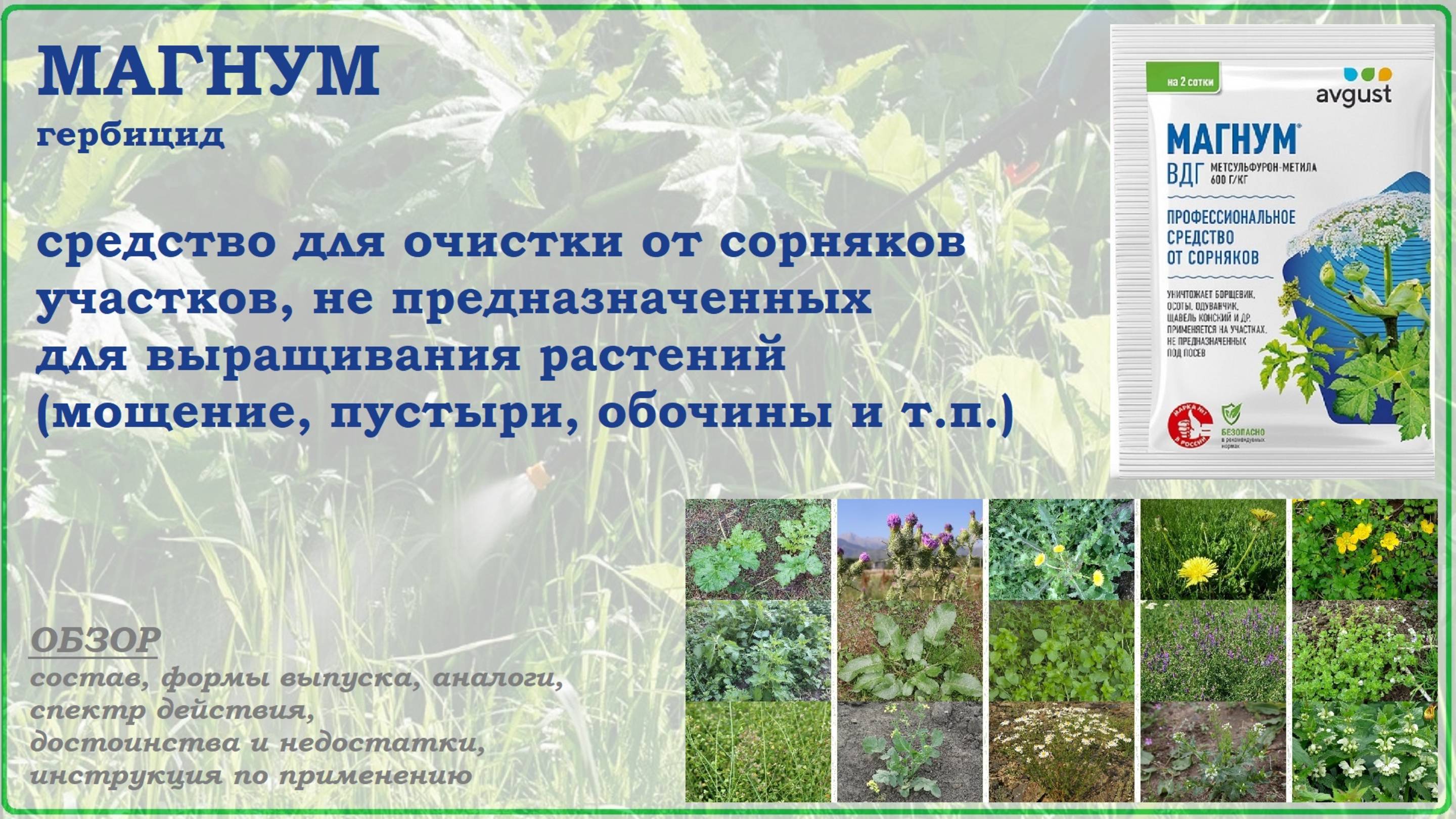 Магнум - средство для очистки от сорняков участков, не предназначенных для
выращивания растений