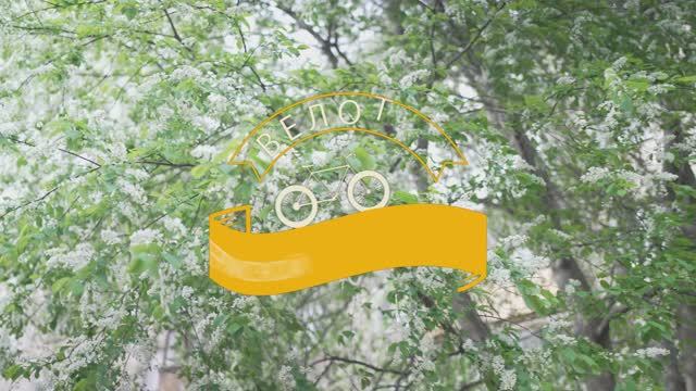 ВЕЛОФИЛ - ПЕРМСКАЯ ИСТОРИЯ УЛИЦ (Социальный ролик)