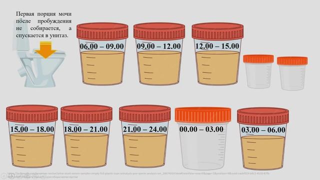 Проба Зимницкого