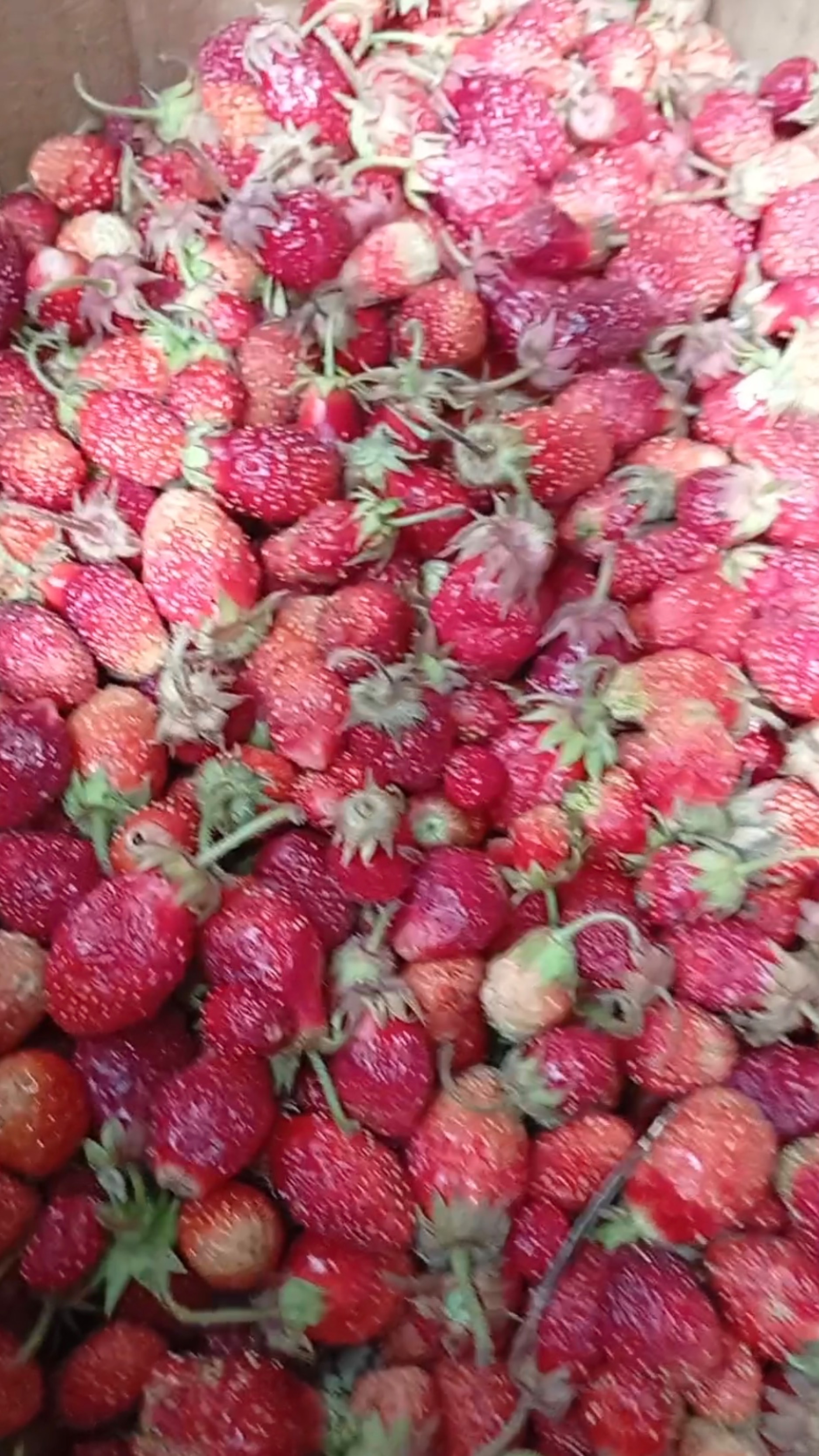 Я даже не знала, что она существует!