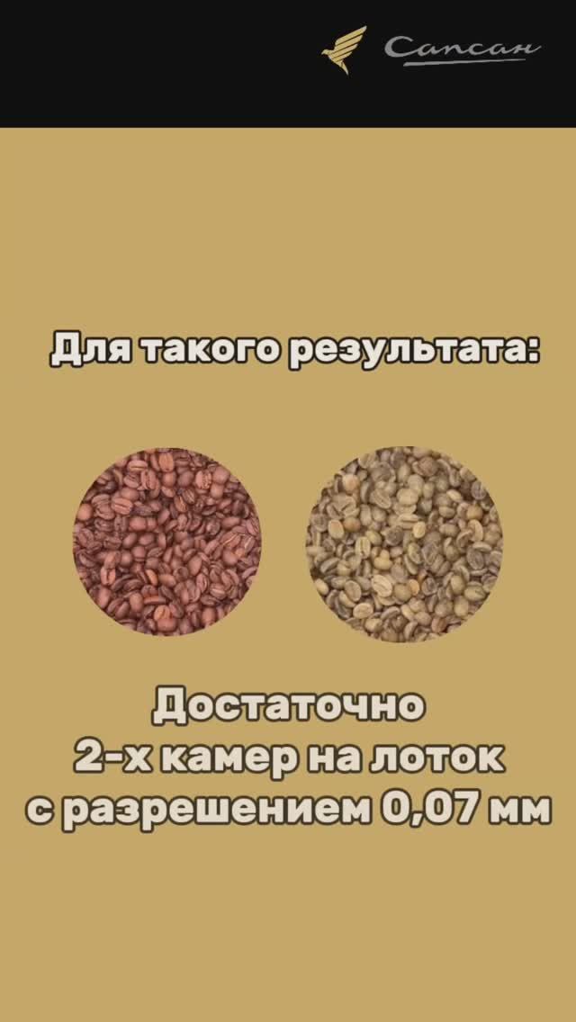 Сортировка зеленого и жареного кофе на фотосепараторе Сапсан SE 1